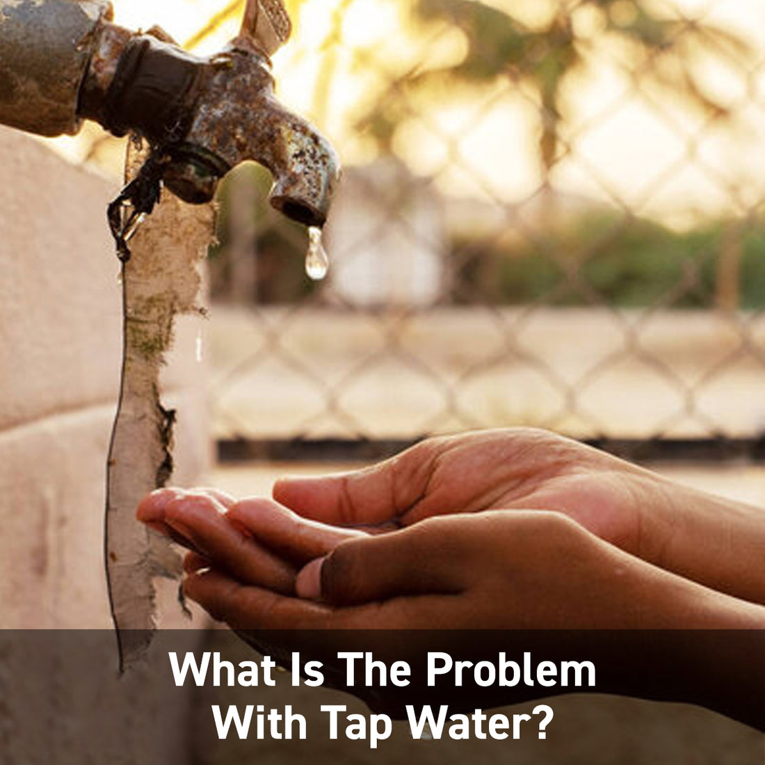 The Truth About Tap Water – Augustine Approved