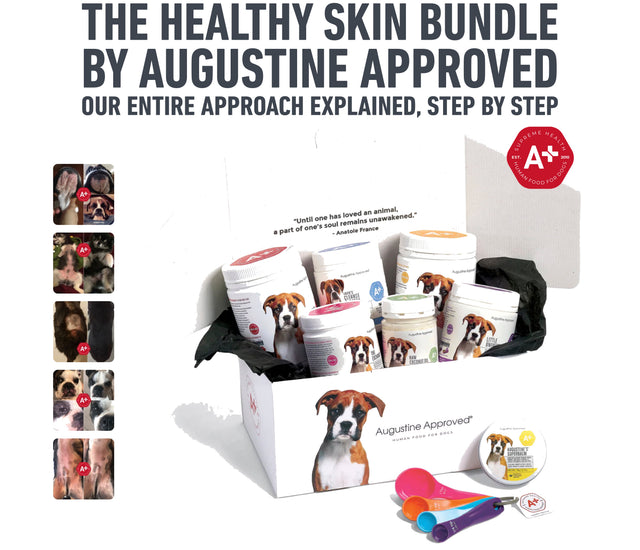 The Healthy Skin Bundle by Augustine Approved: Our Entire Approach Exp