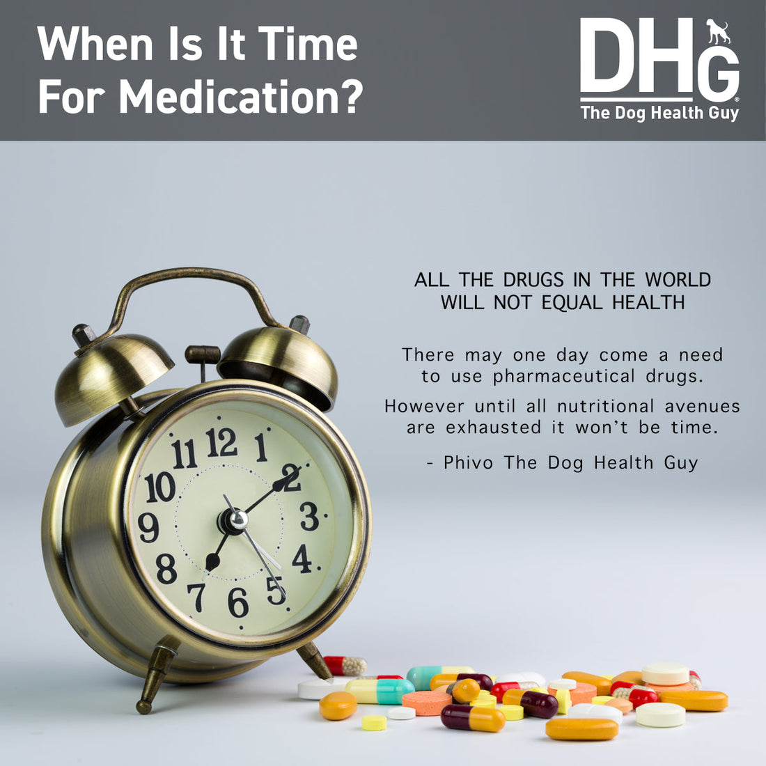 Understanding Pet Medication Timing – Augustine Approved