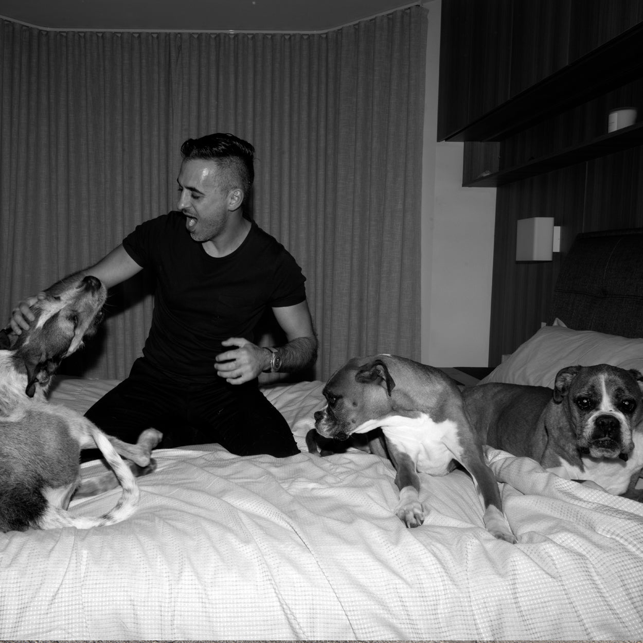 Organic Wholefood for Dogs | Augustine Approved